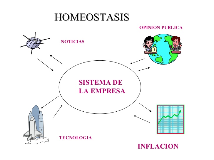 Homeostasia :: jjsistemas
